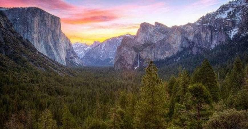 The Magic Flute Characters | Cast List of Characters From The Magic Flute