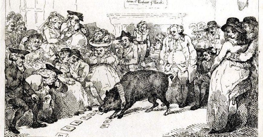 Famous Animals That Predicted Future Events