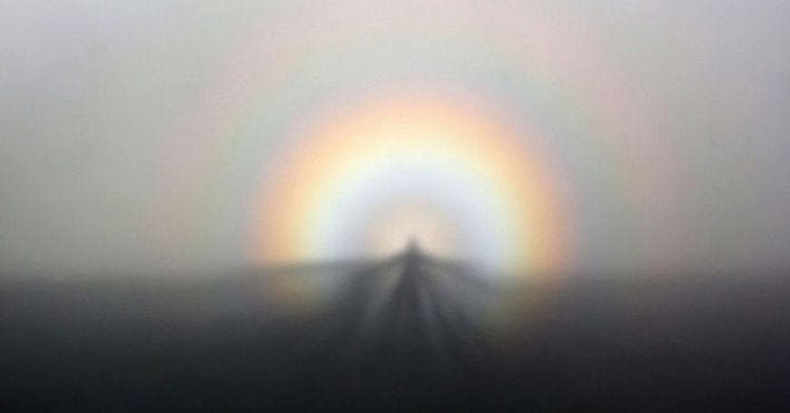 California Cryptids That Will Make Your Skin Crawl