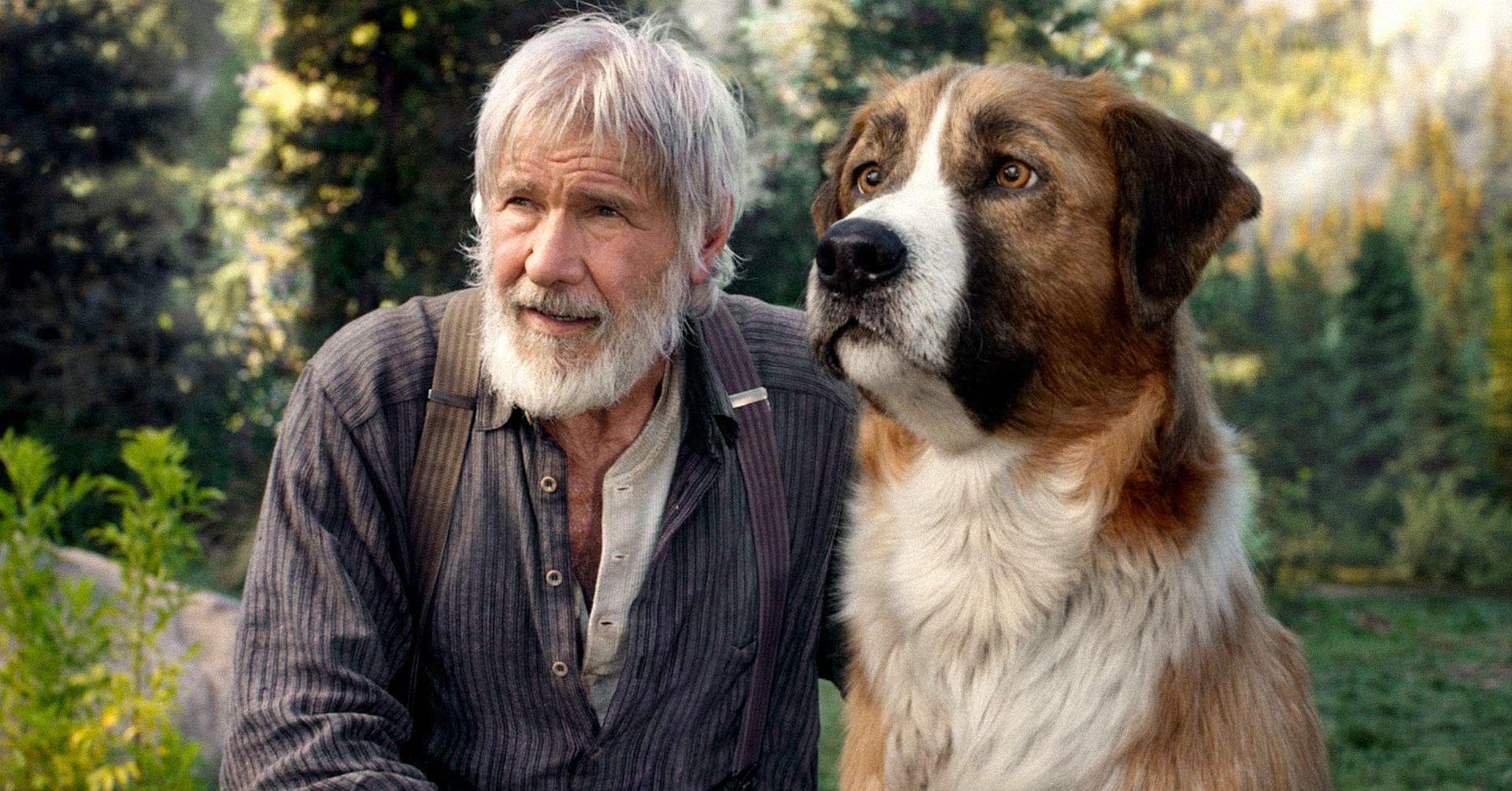 The Best Animal Movies of 2020, Ranked