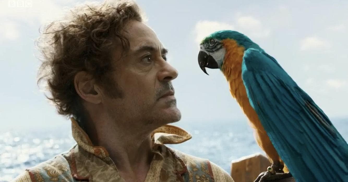 The Most Disappointing Movies of 2020, Ranked By Fans