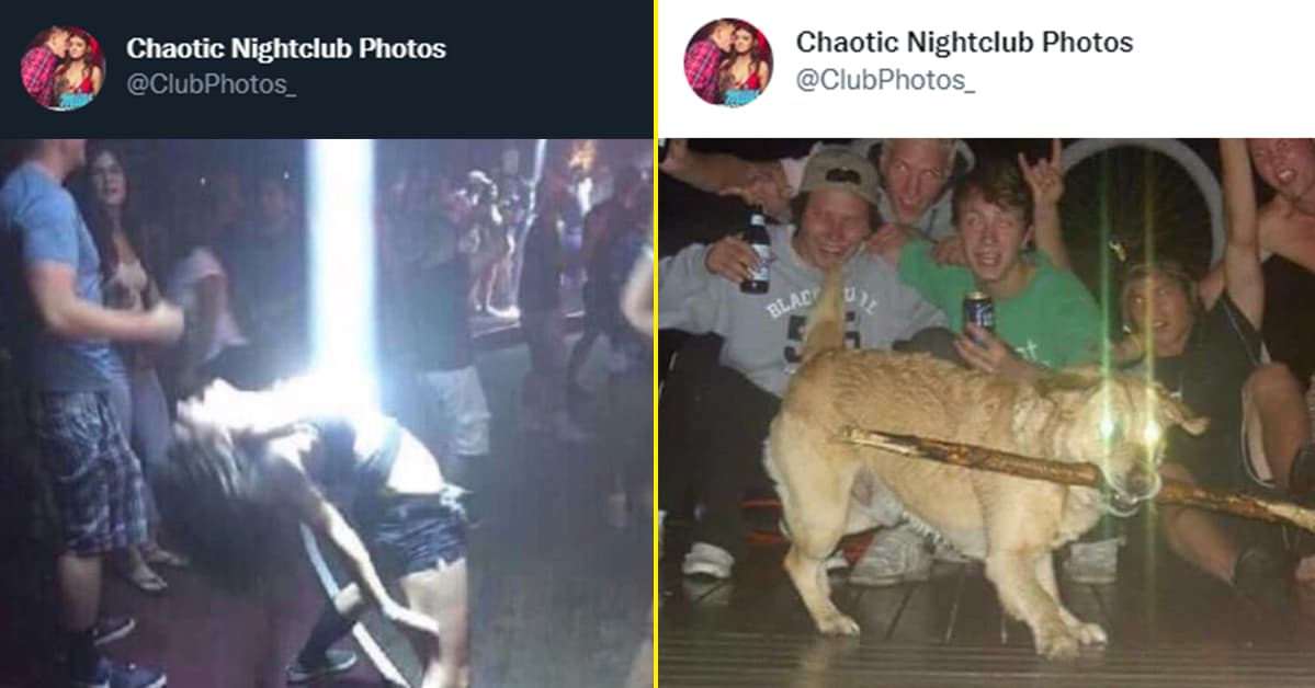 This Twitter Account Is Dedicated To Posting Chaotic Scenes From ...