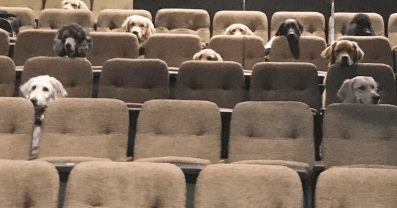 17 Weirdly Interesting Photos That Will Make You Say "Huh"