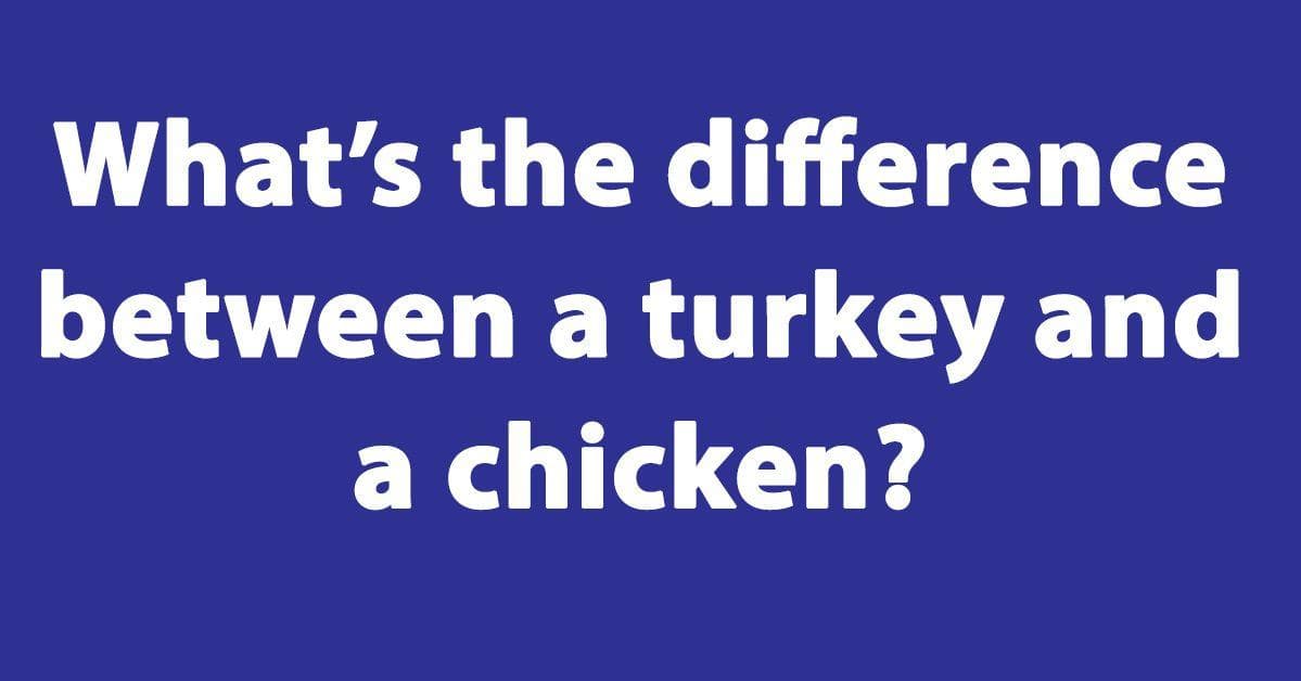 The 23 Best Turkey Jokes, Ranked