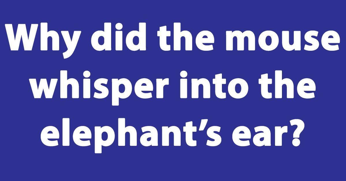 The 23 Best Mouse Jokes, Ranked