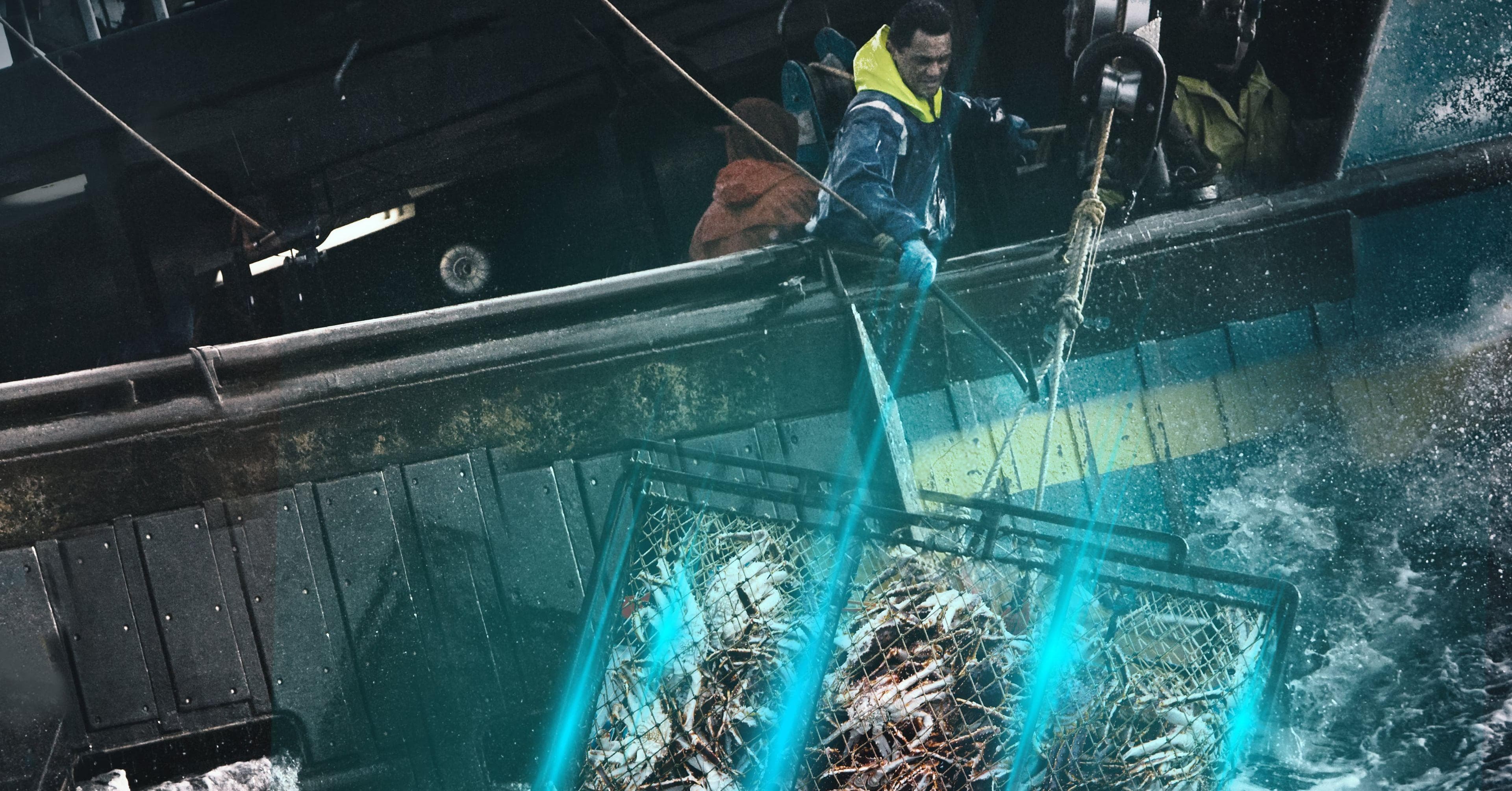 The 90+ Best Reality Shows About Jobs & Professions, Ranked