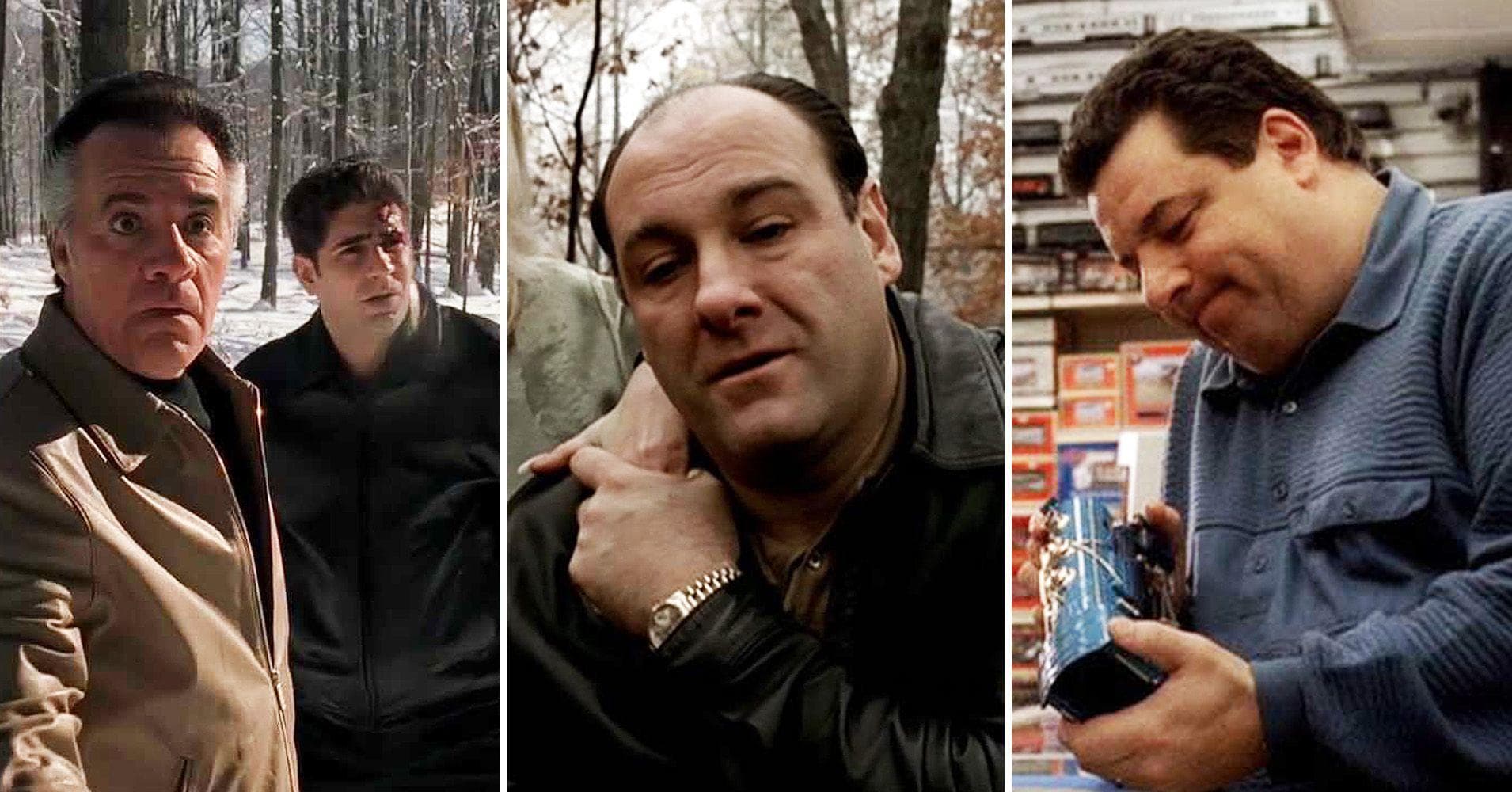 The 15 Best 'Sopranos' Episodes, Ranked By Fans