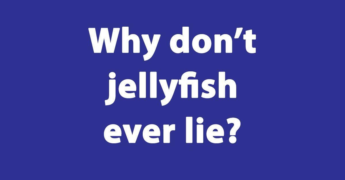 The 25 Best Jellyfish Jokes, Ranked