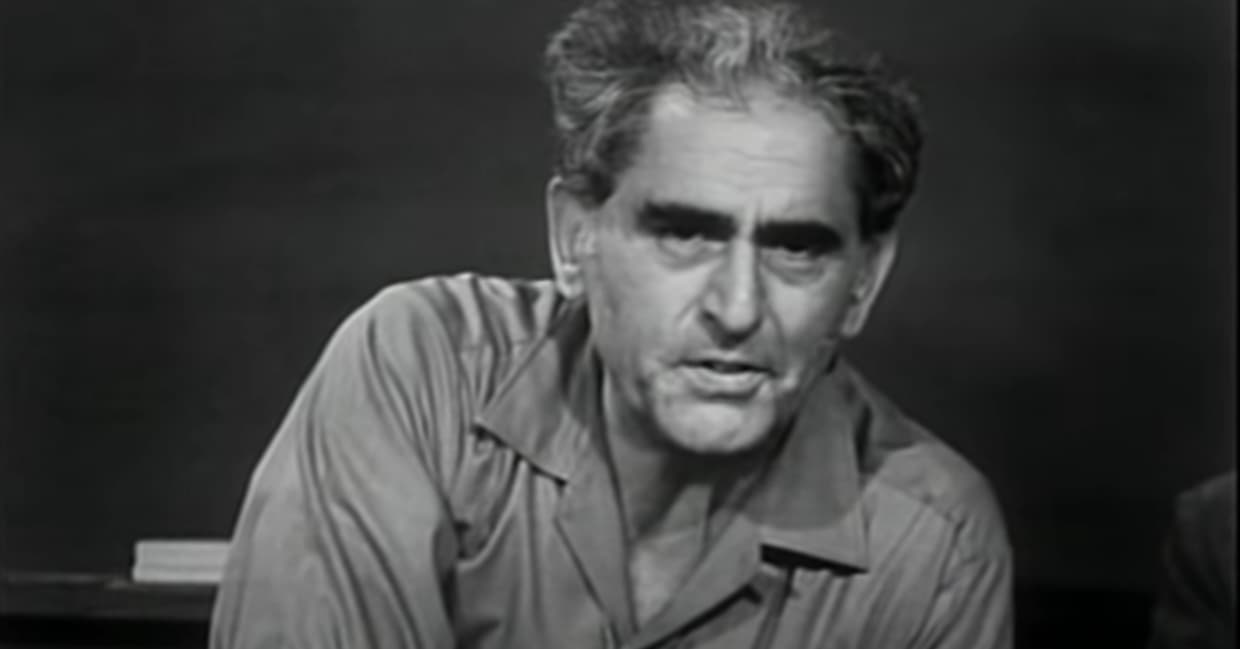 WH Fans Share The Weirdest Films They Watched In School