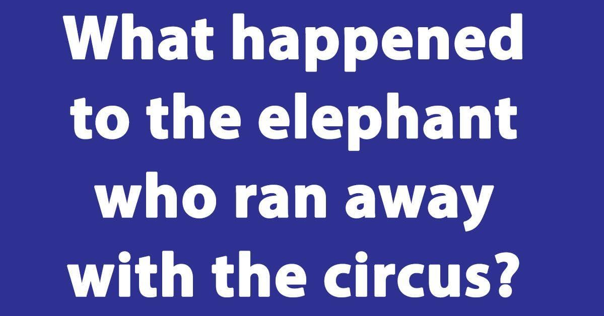 The 25 Best Circus Jokes, Ranked