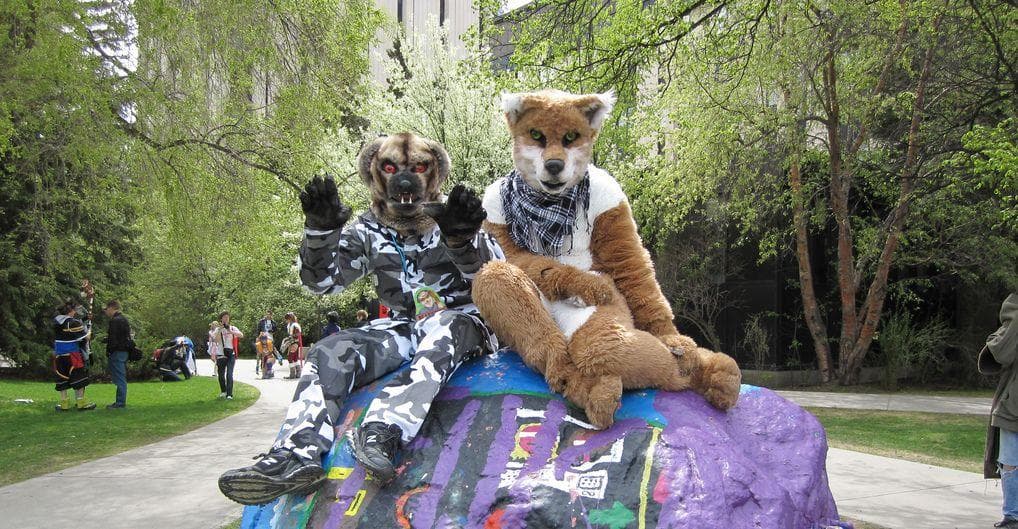 Facts About Furries | Inside Furry Fandom