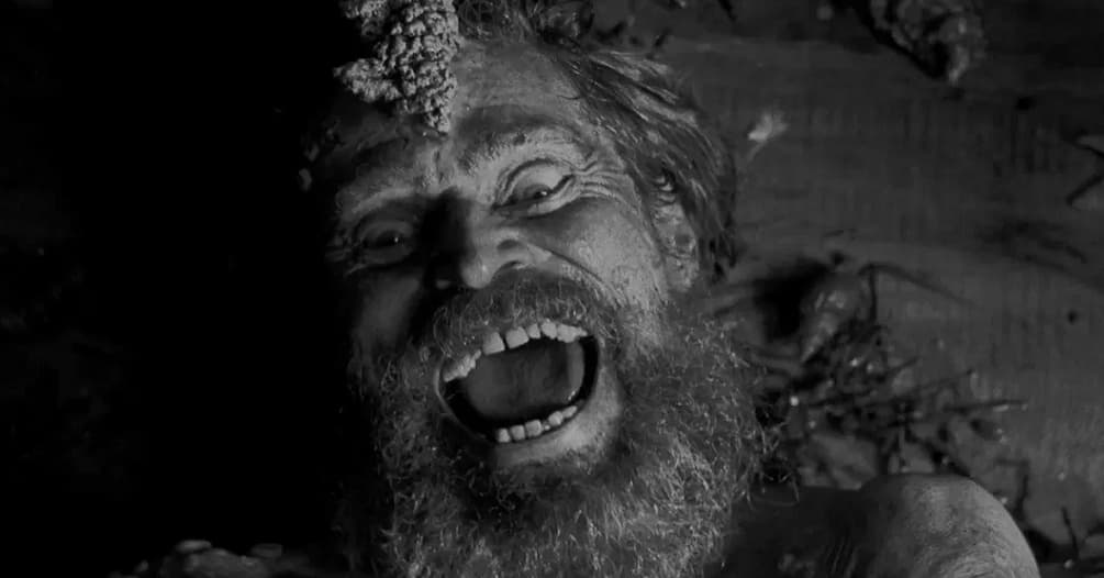 Film Fans Share The Bizarre And Peculiar Movies That Made Them Say ...