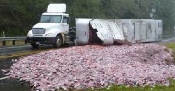 Truck Spills | List of Weird Things That Have Spilled from Cargo