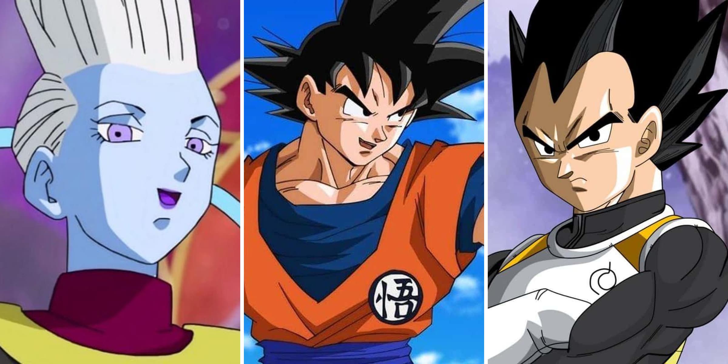 The 30 Best 'Dragon Ball Super' Characters, Ranked By Fans