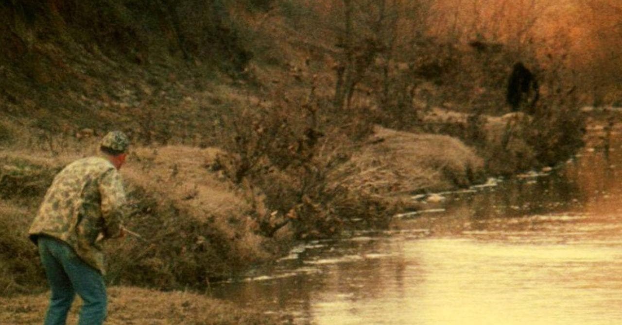 The 20 Best Bigfoot Horror Movies Of All Time