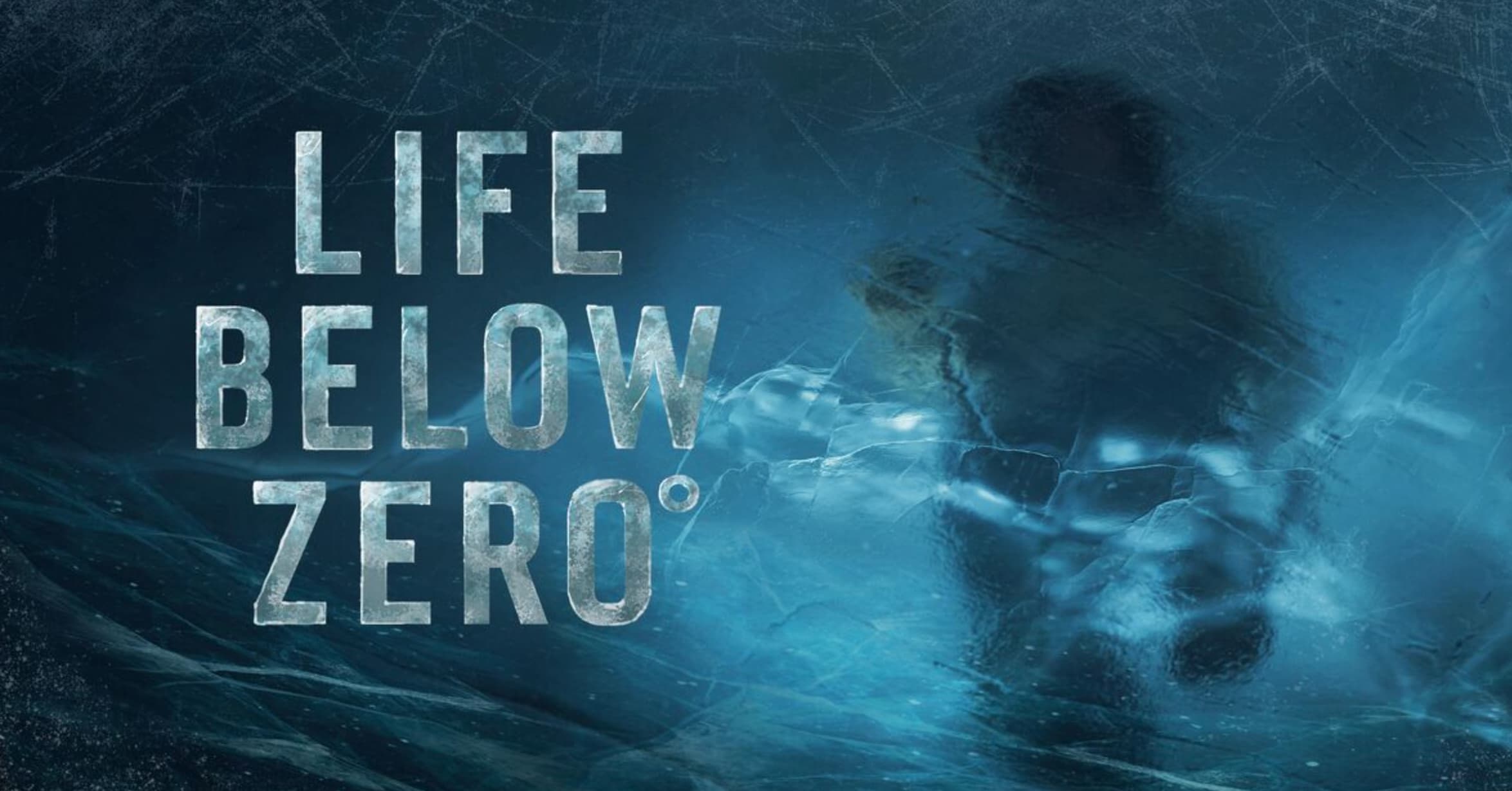 The 25+ Best Movies & Shows Like 'Life Below Zero', Ranked