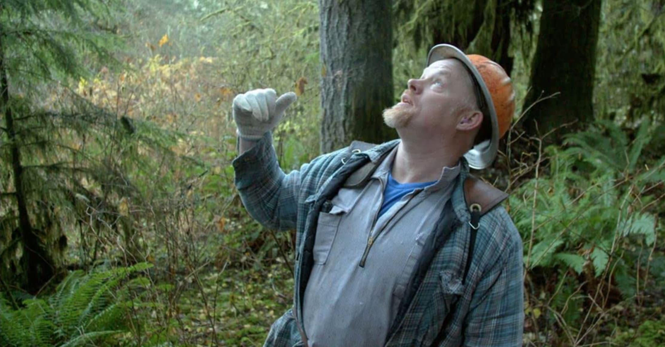 The 5 Best TV Shows About Logging