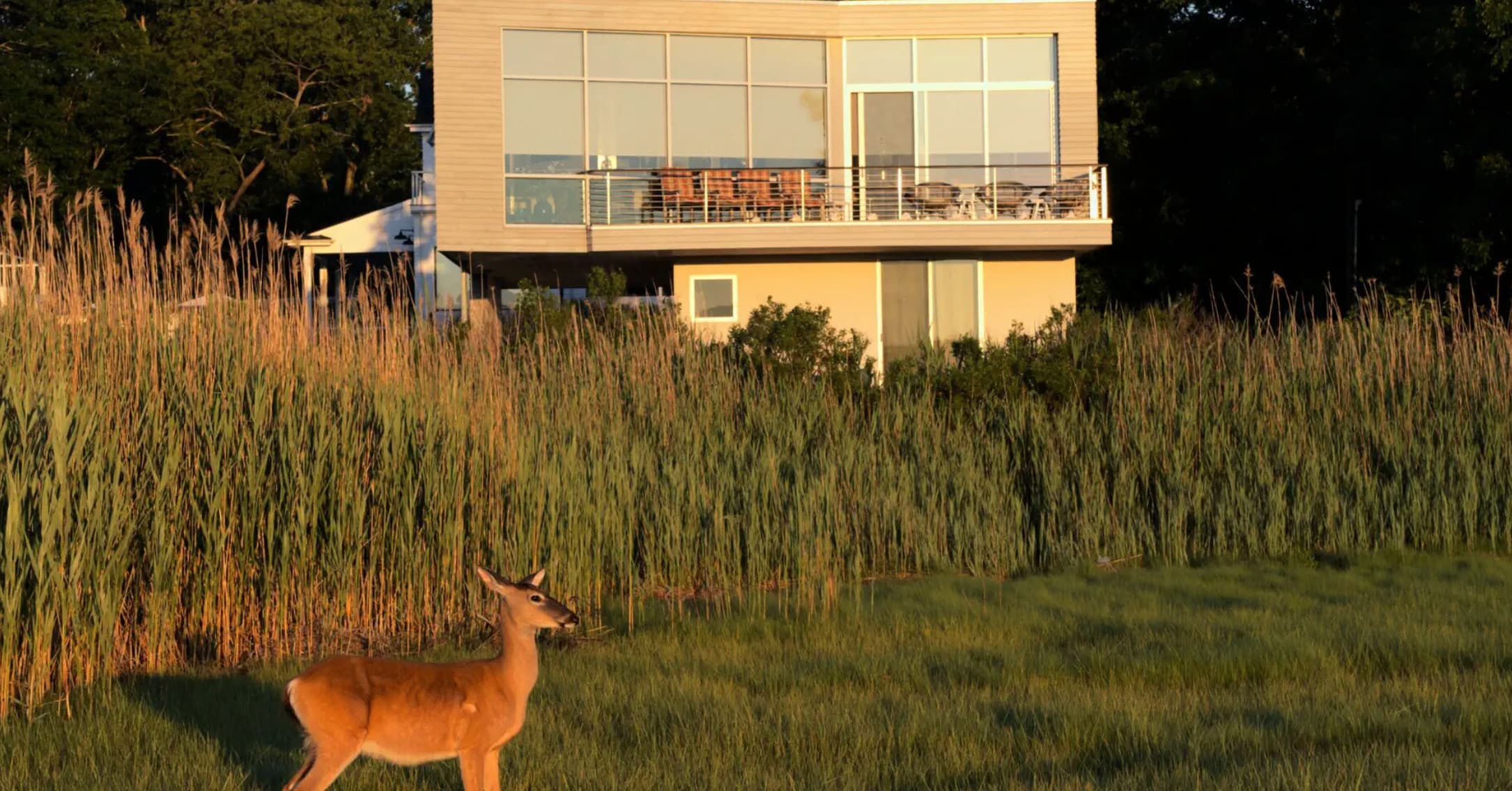 The 15 Best TV Shows About Construction