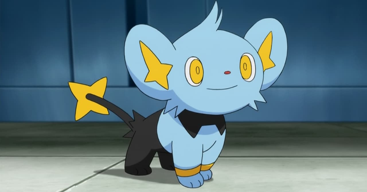 Shinx Human