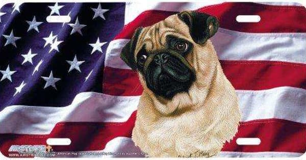 Pug Gaming Space