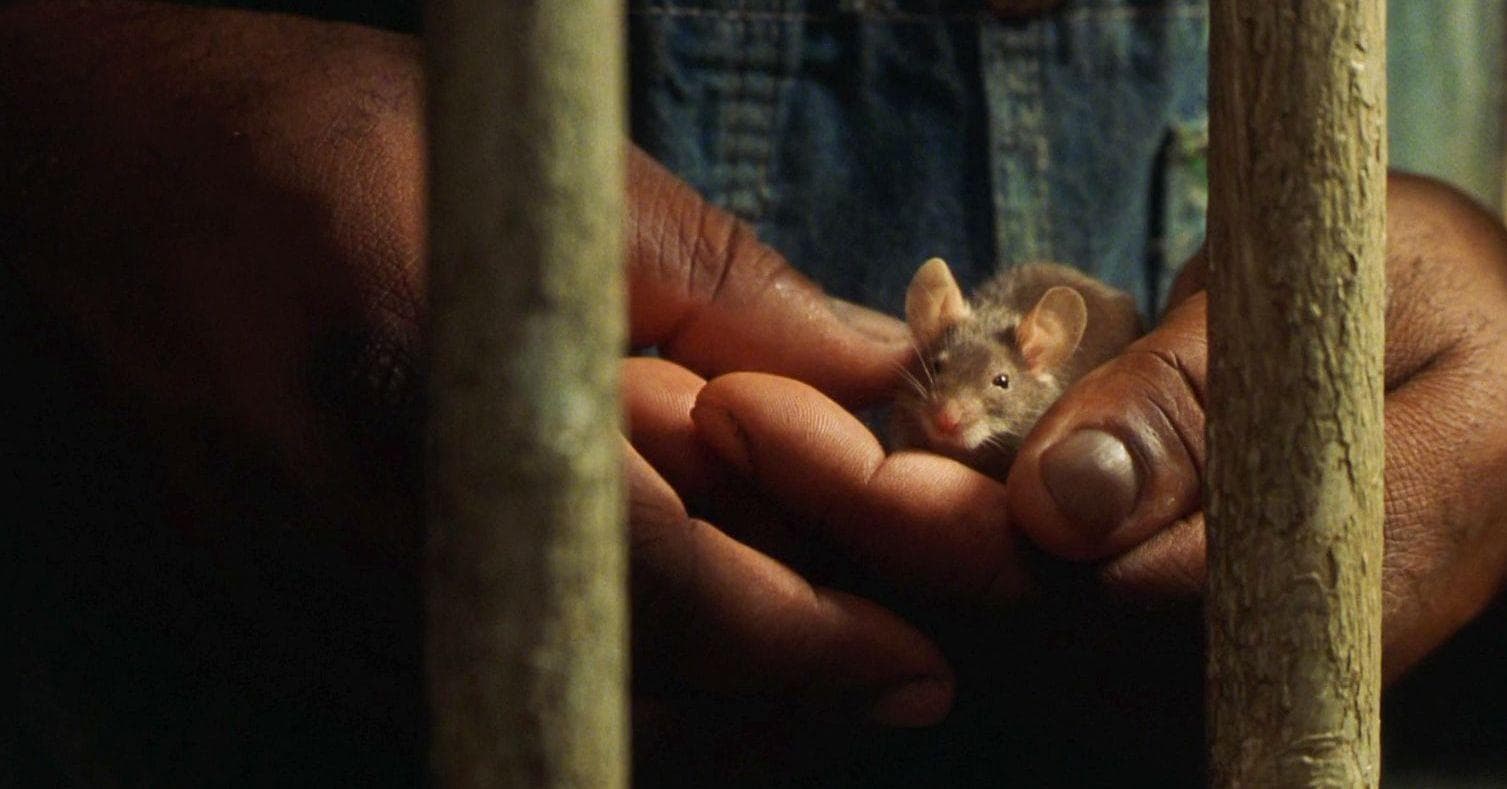 Behind-The-Scenes Stories From 'The Green Mile'