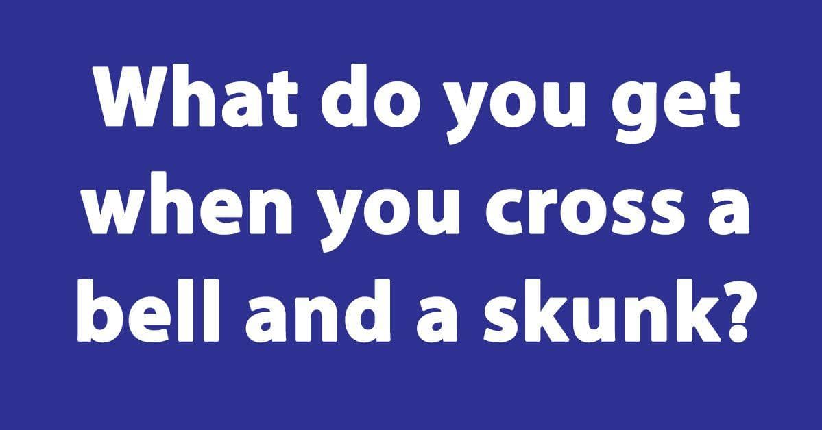 Skunk Jokes: Laugh-Out-Loud Humor for All Ages - The Funny Puns