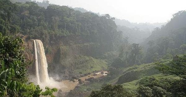 Famous People From Cameroon | List of Celebrities Born in Cameroon