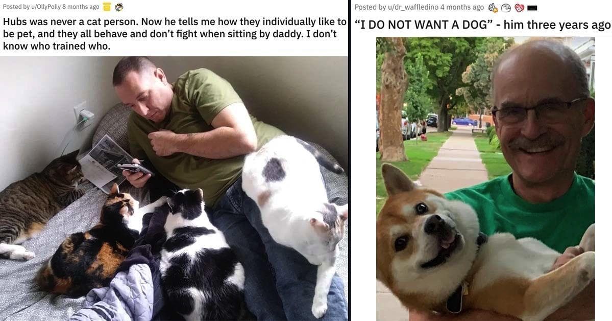 Sad Pets | Cats & Dogs Who Don't Want You to Leave