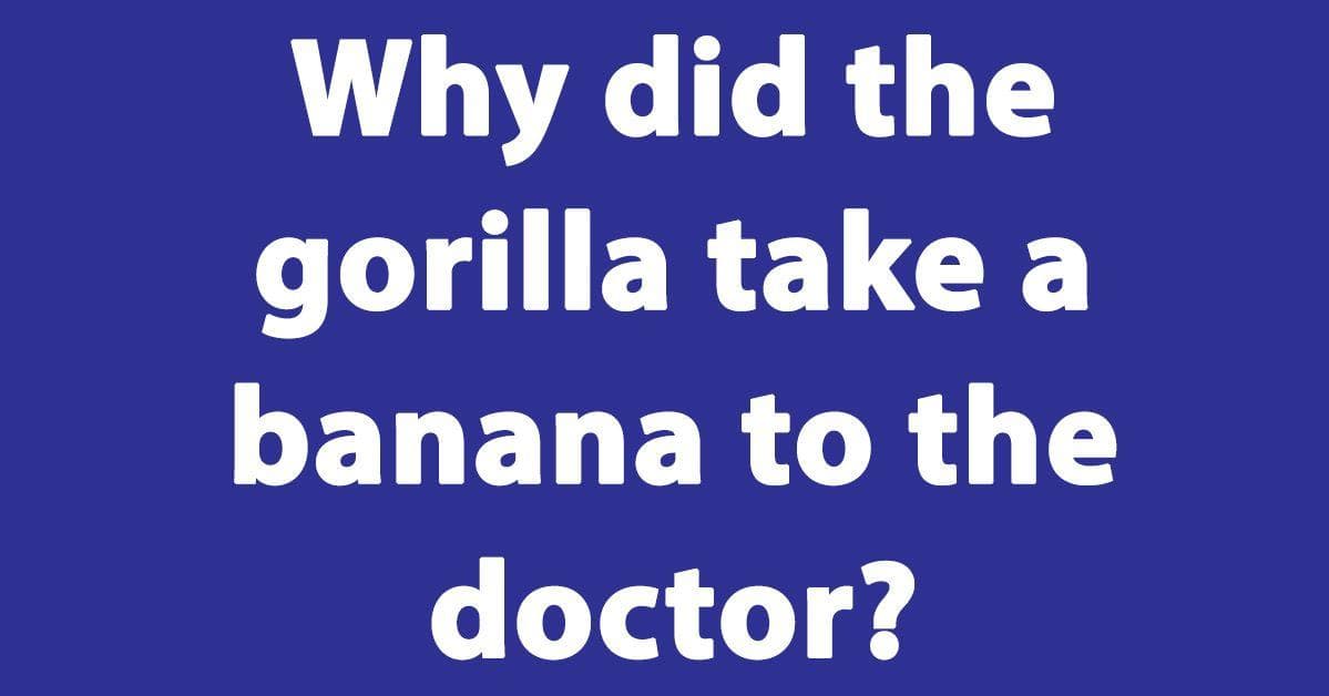 The 24 Best Gorilla Jokes That Would Make Harambe Proud