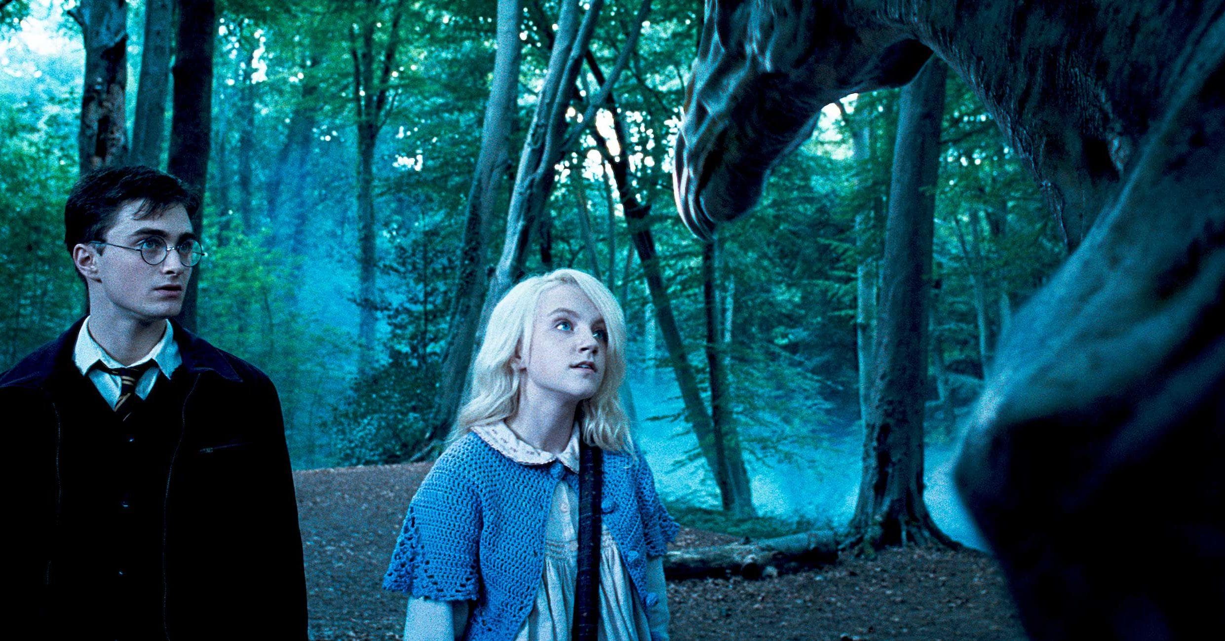 Things You Didn't Know About The Rules Of Magic In The Wizarding World