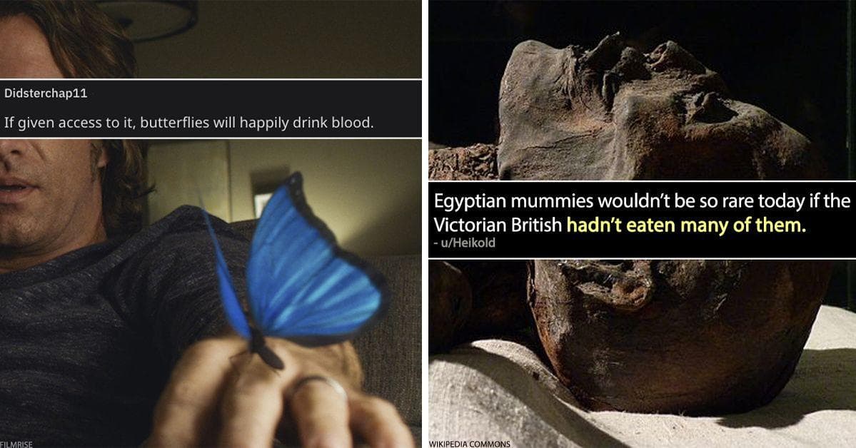 Today I Squirmed: Creepy, Disturbing, And Freaky Facts That Can Ruin A Day