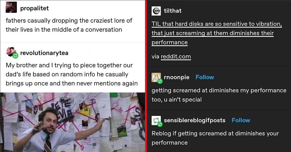 24 Pretty Great Posts We Saw On Tumblr This Week That Have Us ...