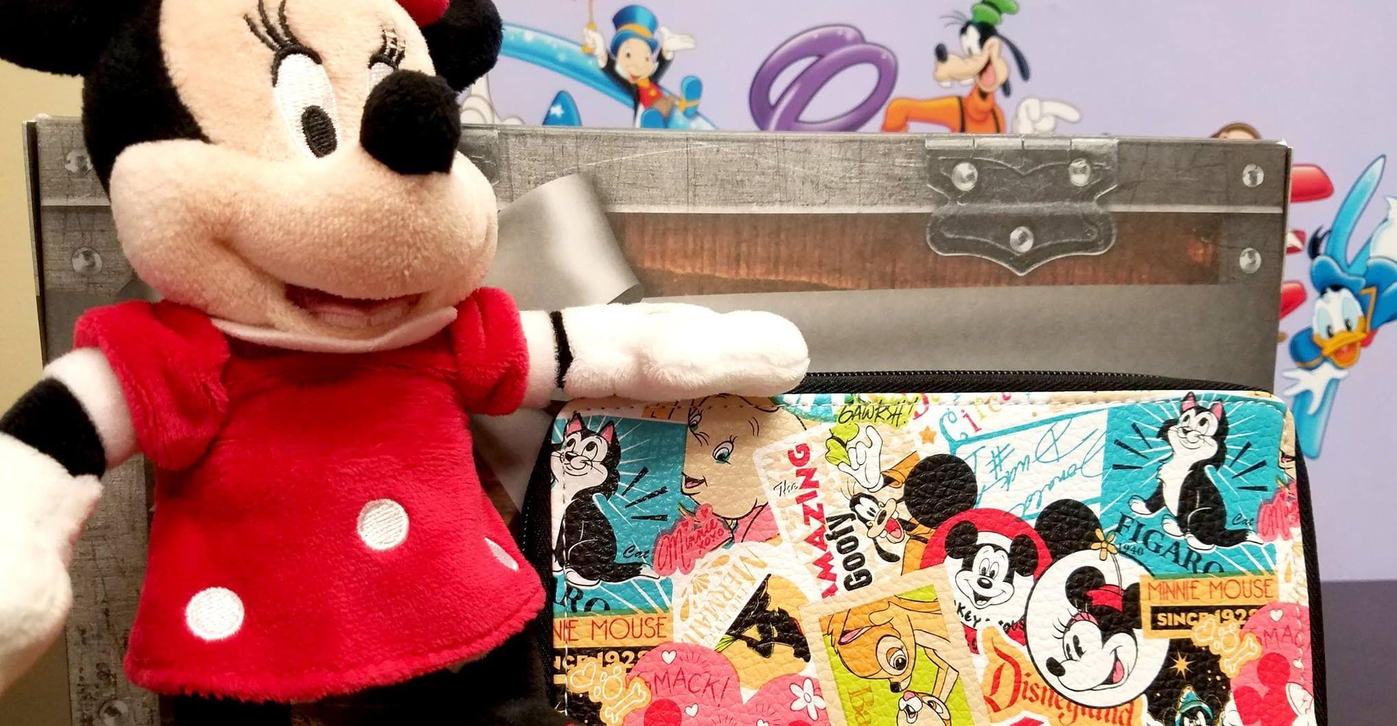 The 10 Best Subscription Boxes For Disney Fanatics