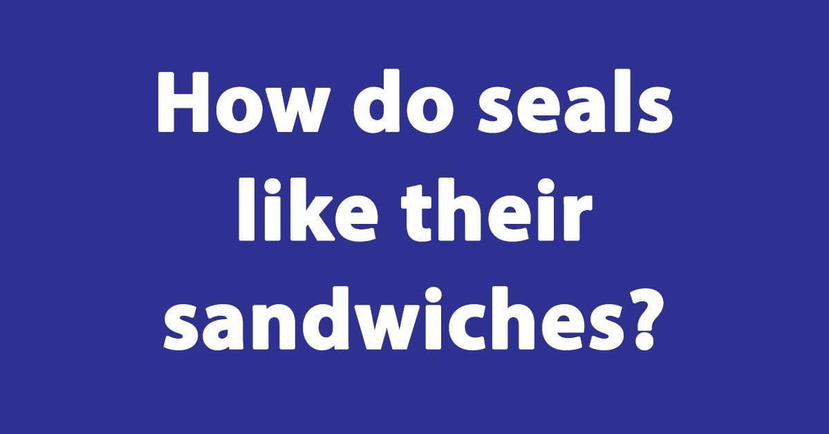 The 22 Best Seal Jokes, Ranked