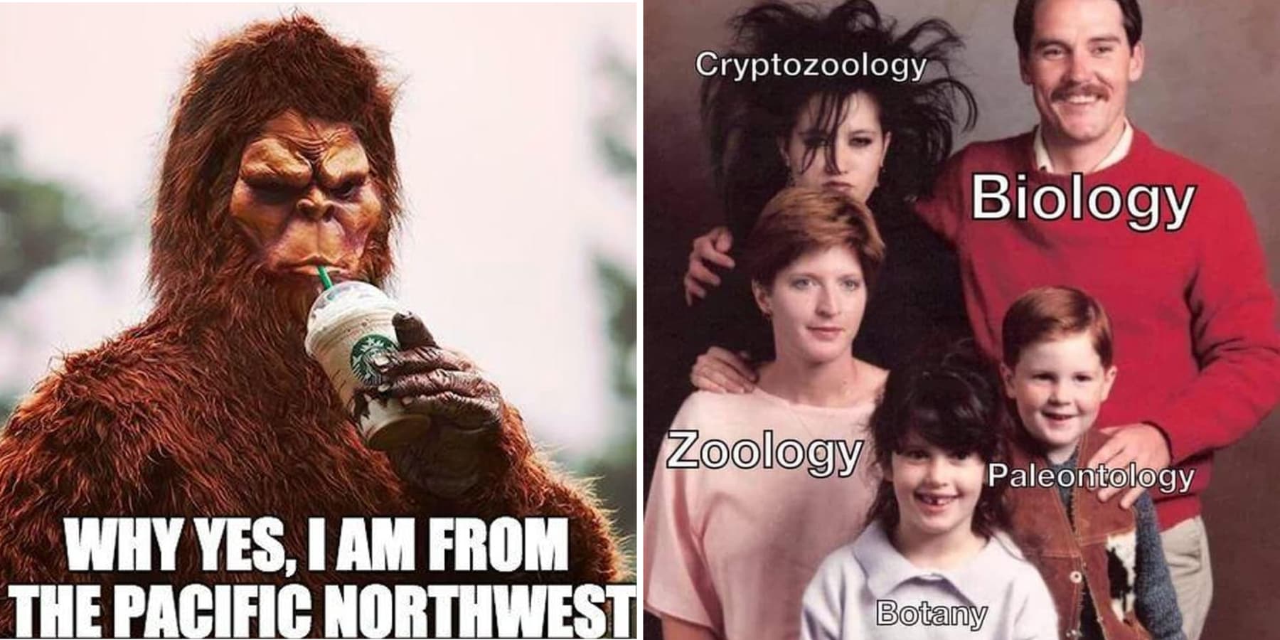 The 24 Funniest Cryptid Memes That Are Mysteriously Amusing