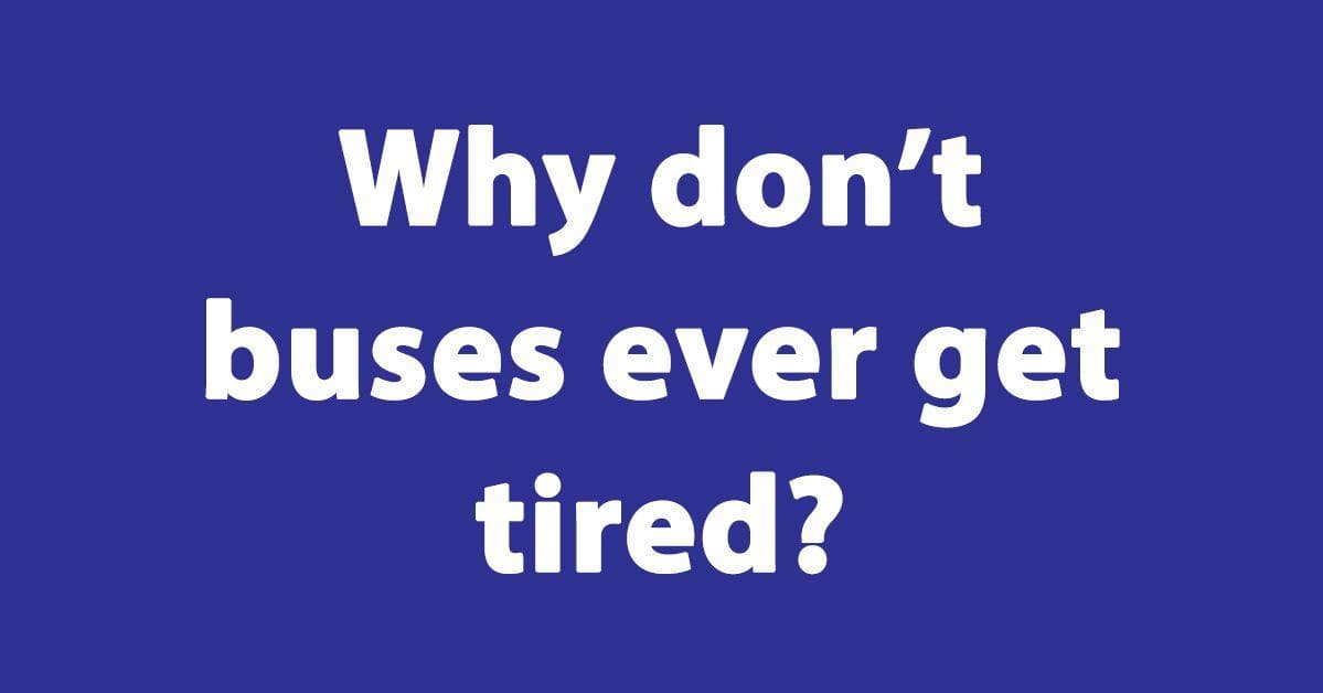 The 22 Best Bus Jokes, Ranked