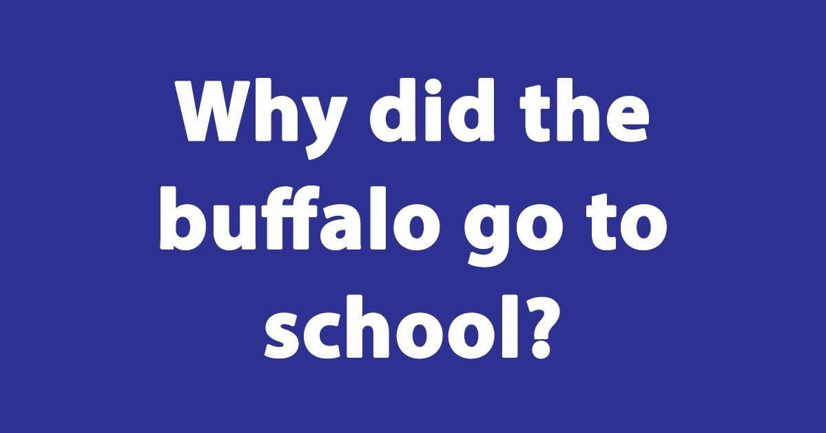 The 16 Best Buffalo Jokes, Ranked