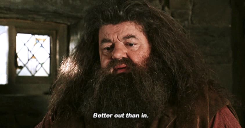 16 Hagrid Moments That Prove Why He's The Best Comfort Character
