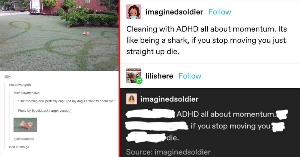 23 Random Posts We Saw On Tumblr This Week That Left Us Delighted And ...