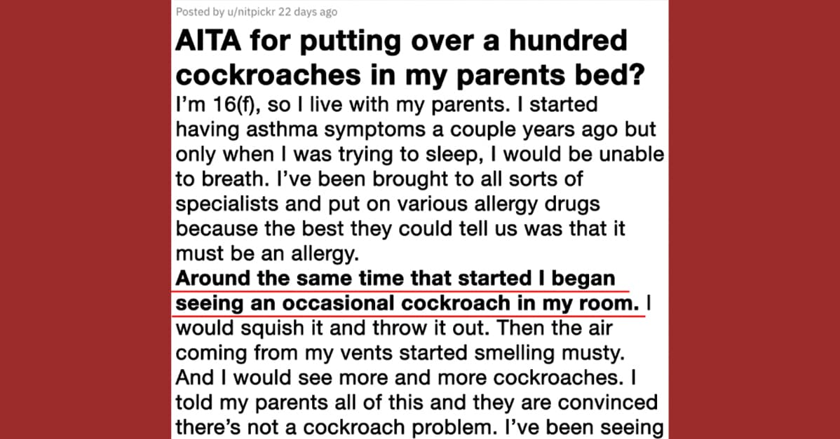 14 Of The Best Reddit Updates We Found This Month That Tie Up All The ...