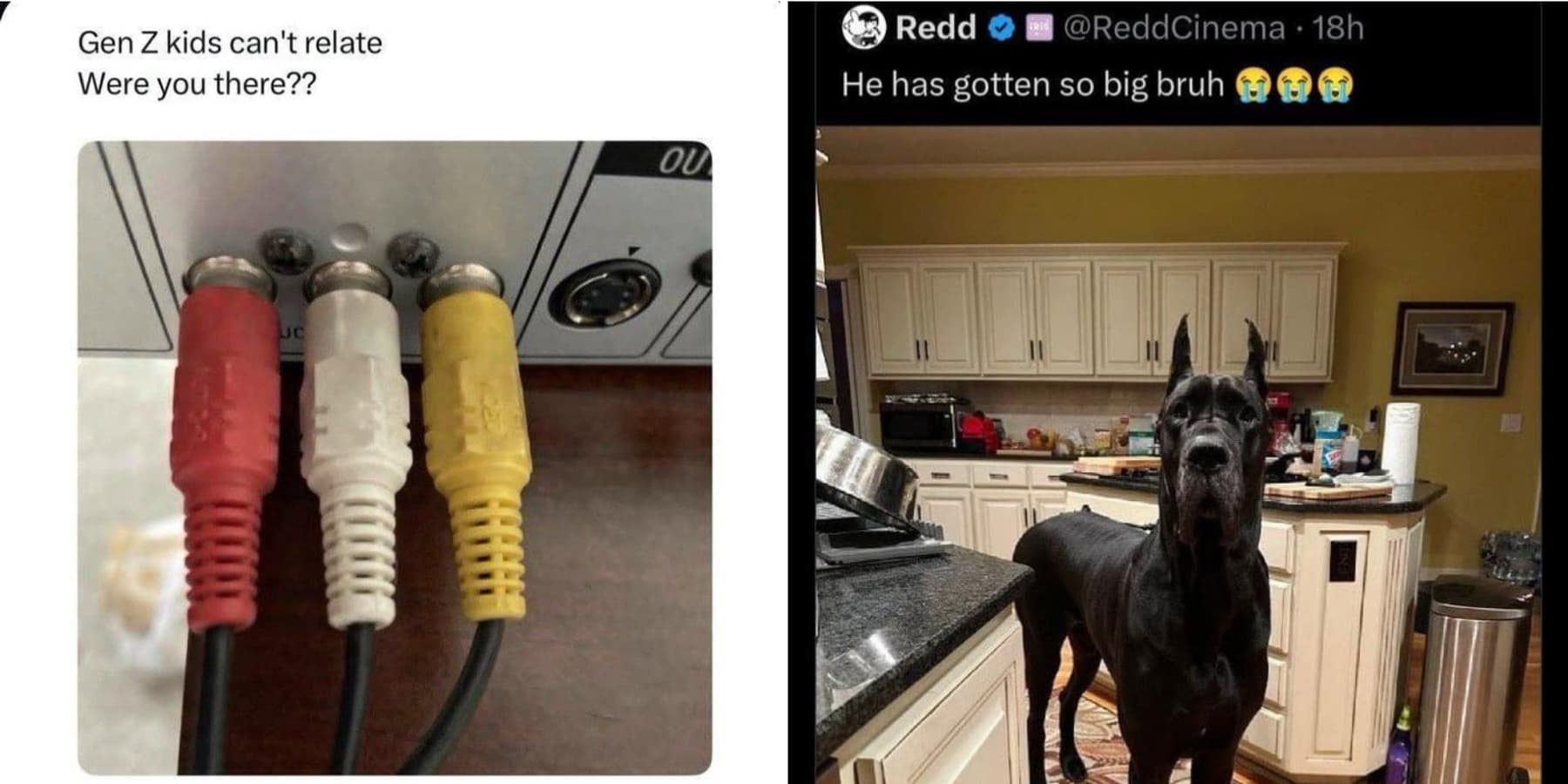 Random But Actually Funny Tweets We Found This Month That Made Us Laugh