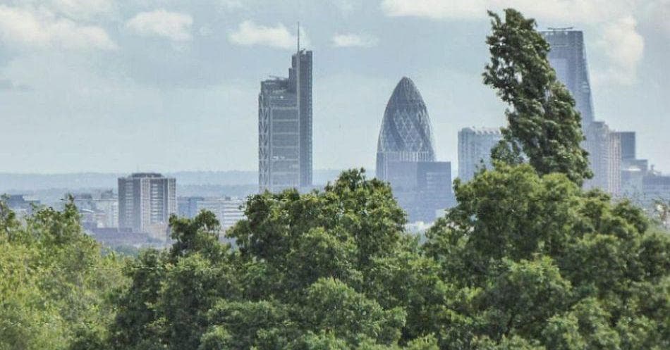 14 Fun Facts About Big Cities Around The World