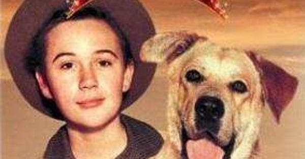 Kevin Corcoran Movies List: Best to Worst