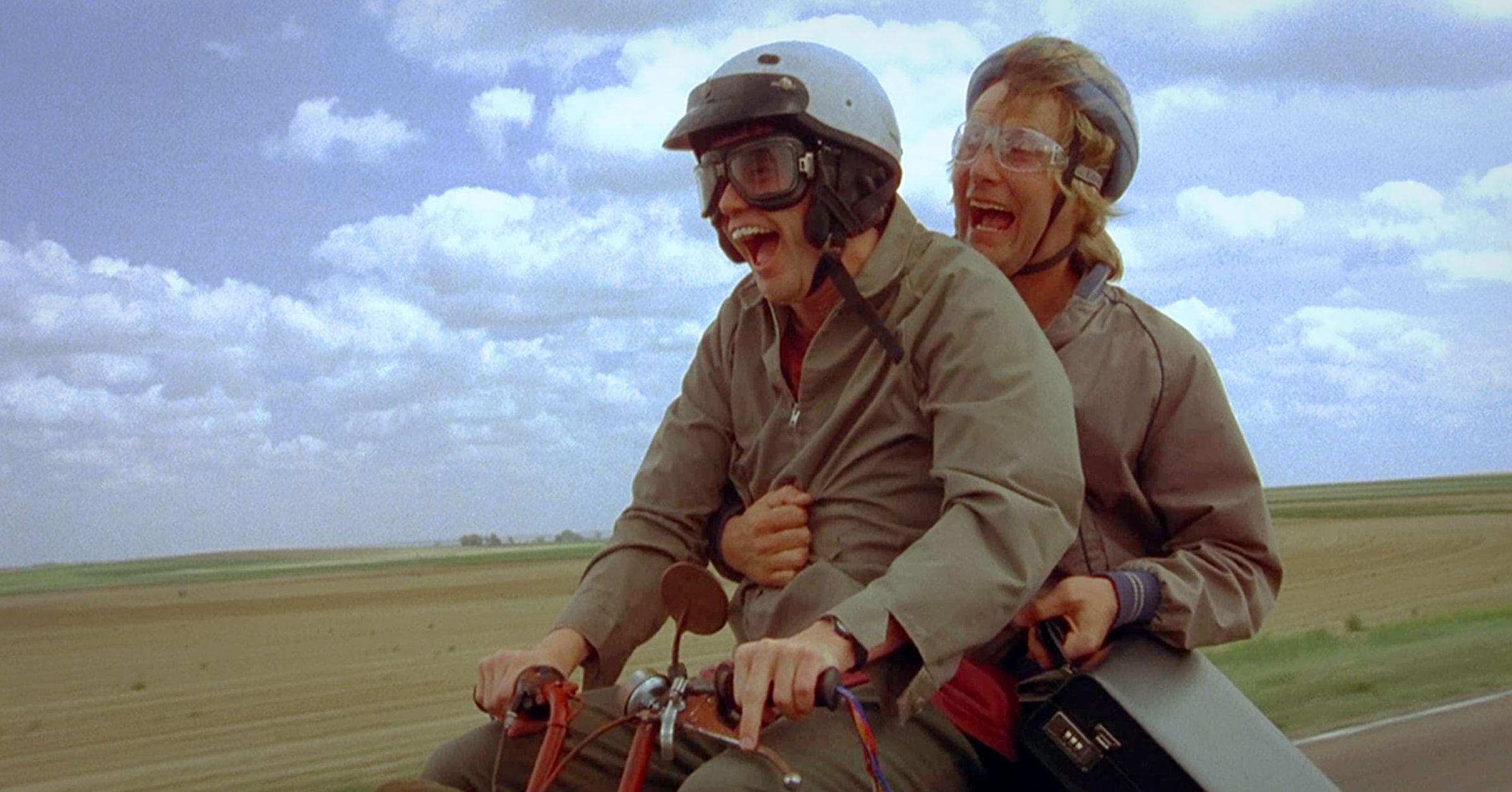 Small But Interesting Details Fans Noticed About 'Dumb and Dumber'