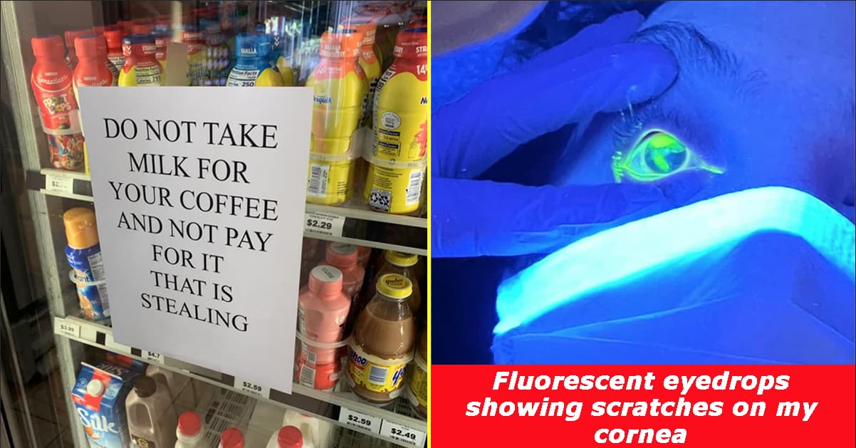 37 Low-Key Cool Photos We Saw This Week That Deserve A Closer Look