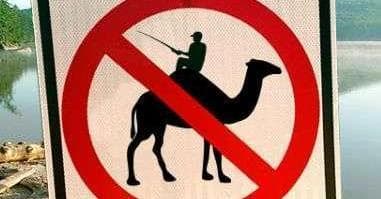 Weird State Laws | Crazy & Bizarre Laws That Actually Exist