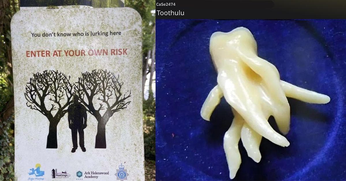 People Are Sharing Mildly Terrifying Images That Get Creepier The ...