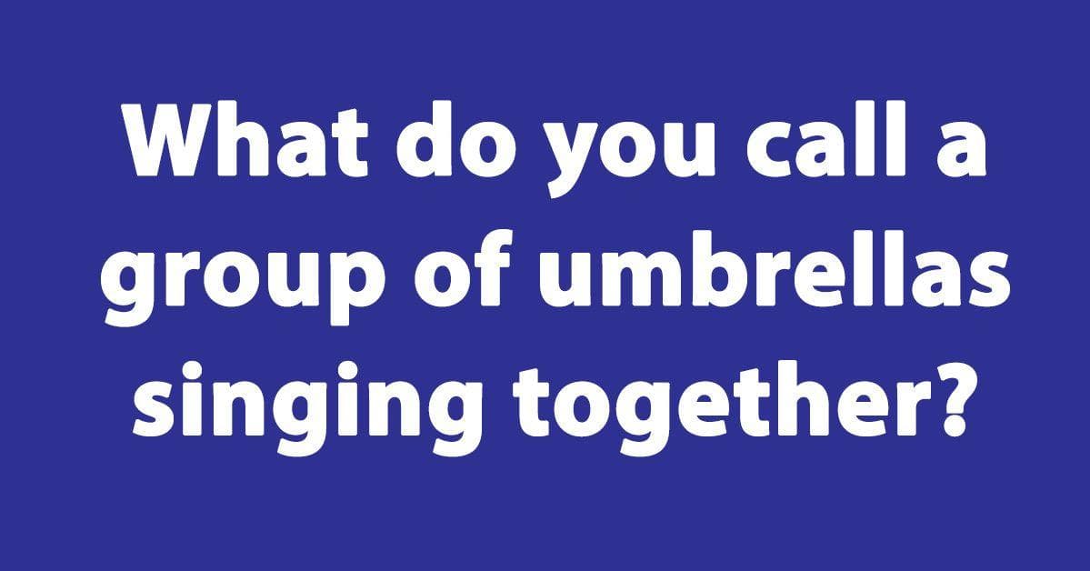 The 20 Best Umbrella Jokes, Ranked
