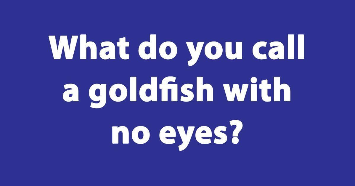 The 24 Best Goldfish Jokes, Ranked