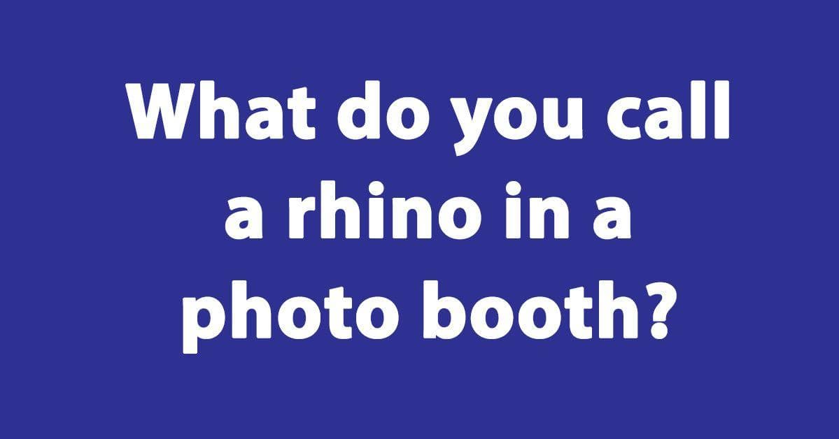 The 24 Best Rhinoceros Jokes And Puns, Ranked